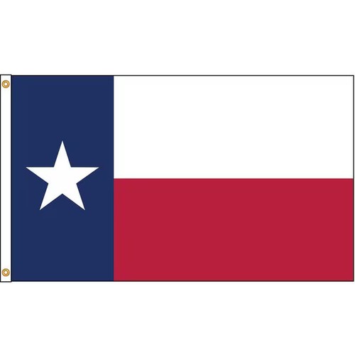 Annin Flagmakers Texas Flag,4x6 Ft,Nylon 145270 Annin Flagmakers 145270 ...