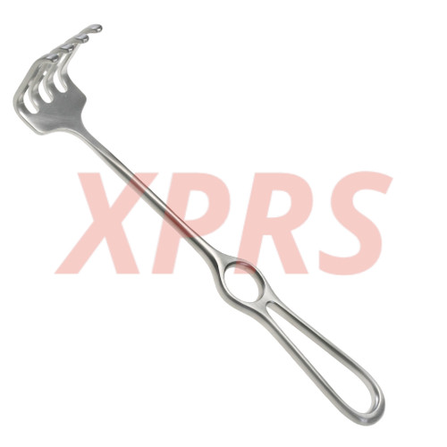 Israel Hook Retractor, 9", Blunt 6-Prongs, 2.25" x 1.75", Prem. German ...