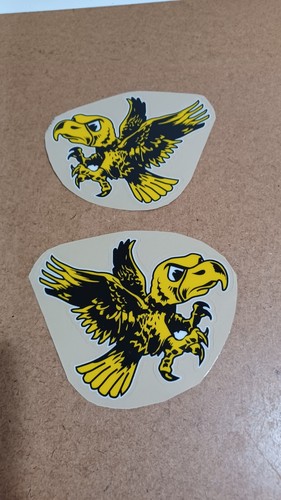 IOWA HAWKEYES Custom Alternate Football Helmet Decals Full Size 20 Mils ...