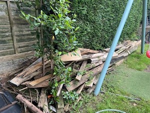 Tree Logs for sale | eBay