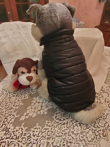 Top Paw Puffer Dog Coat XS/M/L/XL- Blk Gray Olive Green Navy * Benefits ...