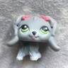 Littlest Pet Shop #193 Maltese Puppy Dog Gray Pink Bows Green Eyes Red ...
