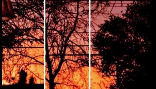 wall art original photo prints 12x18 in 3 panels by pks portfolio free ...