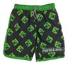 Minecraft Swim Trunks Shorts Boy Size 10/12 | eBay