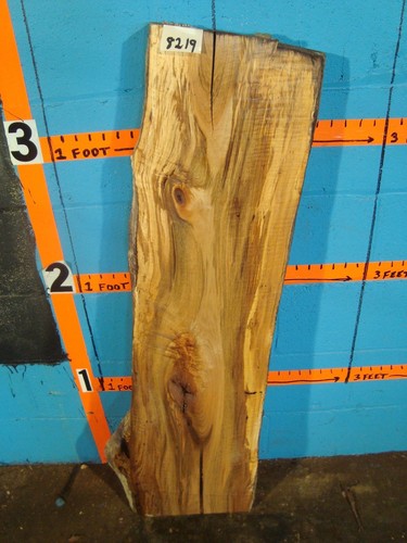 #8219, spalted Tiger Maple Live Edge Slab lumber wood L 43" W11 1/2" T2 ...