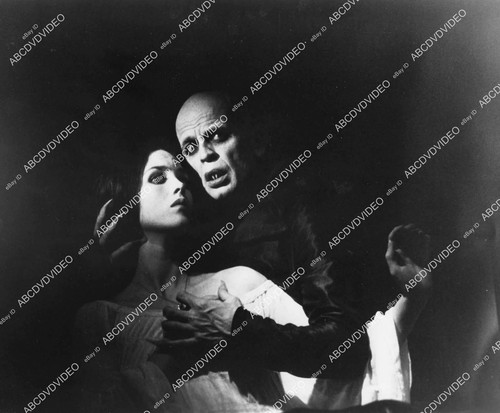 crp-2606 1979 Klaus Kinski, Isabelle Adjani horror film Nosferatu the ...