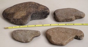 rockcanine | eBay Stores