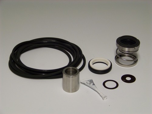 Goulds G&L SST-S Rebuild Kit (1.250″) | eBay