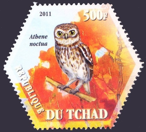Little Owl, Birds of Prey, Odd Unusual Hexagon Shape, Chad MNH -private ...