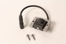 Genuine OEM Kohler MODULE INDUCTIVE IGNITION COIL Part# 22 584 01-S | eBay
