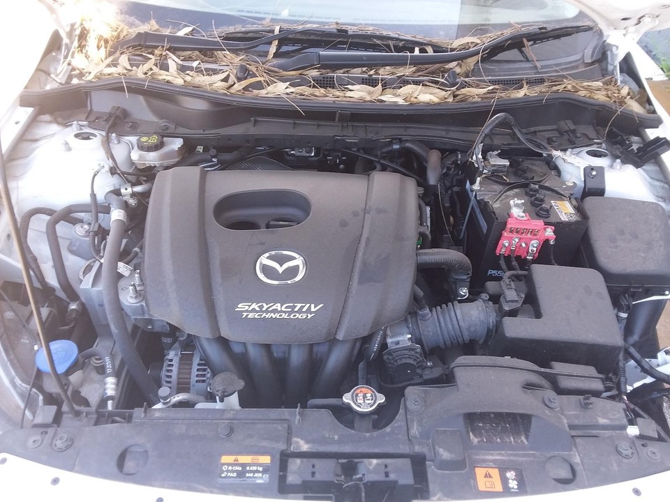 Car & Truck Engine Blocks for sale | Shop with Afterpay | eBay AU