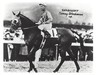 SEABISCUIT 8X10 PHOTO HORSE RACING PICTURE JOCKEY GEORGE WOOLF | eBay