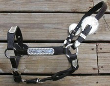 Horse Show Halters for sale | eBay