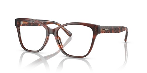 NEW Coach 6207U Eyeglasses 5741 Tortoise 100% AUTHENTIC | eBay