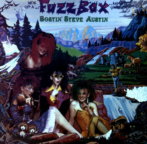 We've Got A Fuzzbox And We're Gonna Use It - Bostin' Steve Austin LP ...
