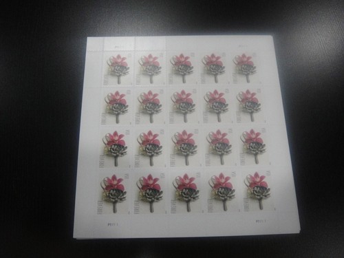 USA 2020 Sc#5457 Flower FOREVER Sheet of 20 Stamp MNH XF | eBay Australia