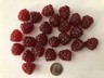 Artificial Cranberry Fruit Bag of 72 Fake Cranberry Berries Fake ...