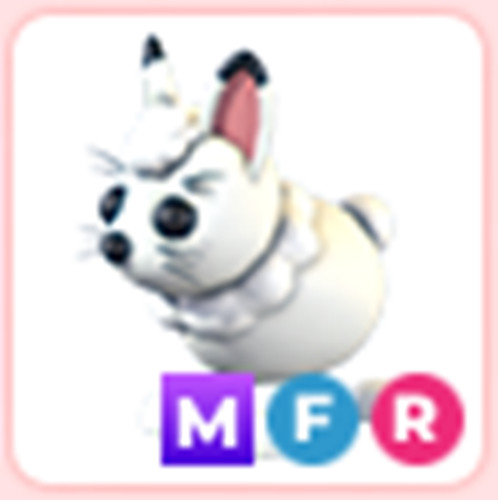 Pets Hot - MFR Arctic Hare - The Trusted Store!! | eBay