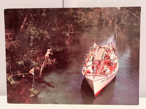 Postcard Feeding Wild Tarzan Monkeys Jungle Cruise Silver Springs ...