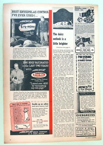 Original 1955 Anchor Photo Endorsed Ad features William Hock, London ...