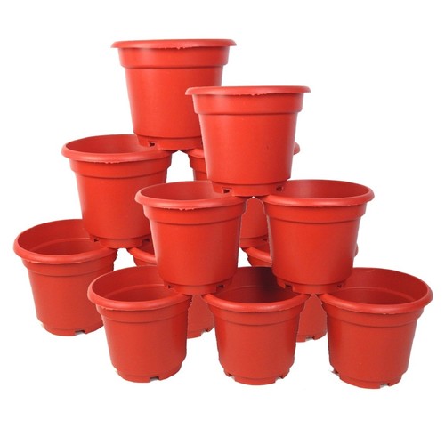 6.5 Inch Terracotta Colored Plastic Plant Flower Pots Nursery (10 Pk ...