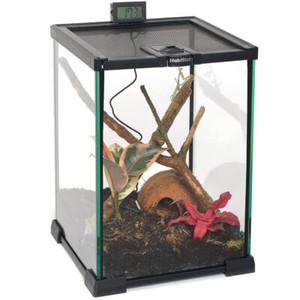Stick Insect Tank for sale | eBay