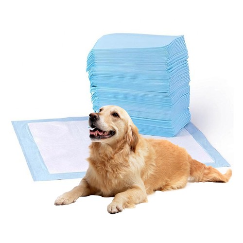 50 Tapis Absorbant Chien, 60x60cm L Format Bleu Alaise pour Chien ...