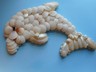 Stunning Sea Shell Dolphin Wall Sculpture-Wall Dolphin- Artist Created ...