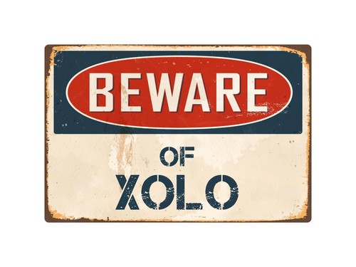 Beware Of Xolo 8" x 12" Vintage Aluminum Retro Metal Sign VS452 | eBay