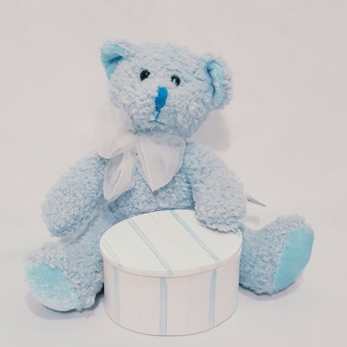 Teddy Bear with Jewelry or Trinket Gift Box Empty Plush Blue Baby 6" | eBay