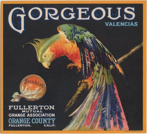 Gorgeous Brand VINTAGE Fullerton, California Orange Crate Label 1924 ...