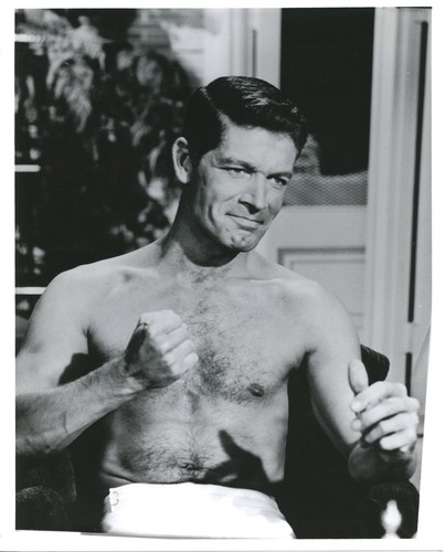 Stephen Boyd Shirtless 8x10 Picture Celebrity Print | eBay
