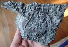 SolOpsArt | eBay Stores