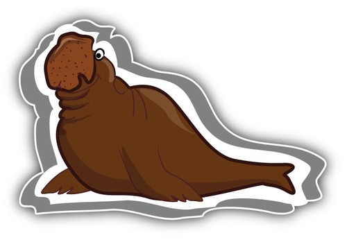 Cartoon Walrus Car Bumper Sticker Decal | eBay