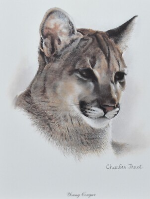 Martin Barry Prints for sale | eBay