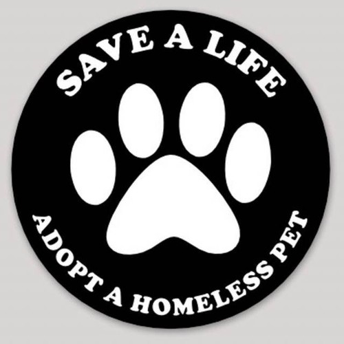 Save A Life Adopt A Homeless Pet 3x3 Vinyl Sticker Bumper Decal | eBay