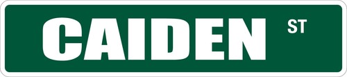 *Aluminum* Caiden 4" x 18" Metal Novelty Street Sign SS 739 | eBay