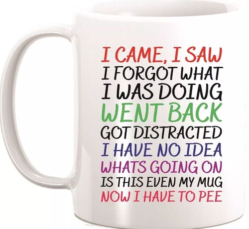 I Came I Saw I Forgot Funny Novelty Coffee Mug 11OZ | eBay