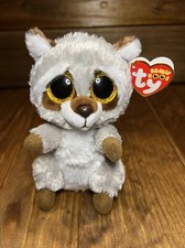 Oakie the Raccoon - Beanie Boos - Beaniepedia