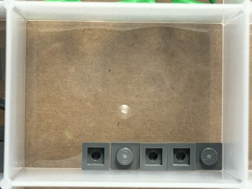 LEGO Parts - Dark Bluish Gray Plate 1 x 1 - No 3024 - QTY 5 | eBay