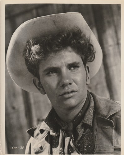 Ray Stricklyn 20th Century Fox Photo Original Vintage 8x10 Type 1 ...