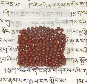 himalayan_genie | eBay Stores