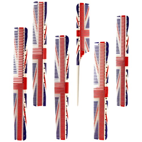 6 Pcs Combs for Hair Stylist Professional Styling Accessories Fine ...