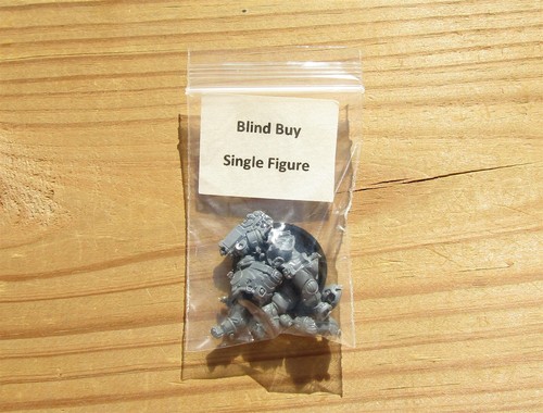 40K Leagues of Votann _Hearthkyn Warrior w/ Autoch Bolter Blind Buy ...