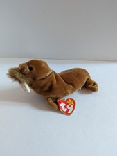 Paul the Walrus - Beanie Babies - Beaniepedia