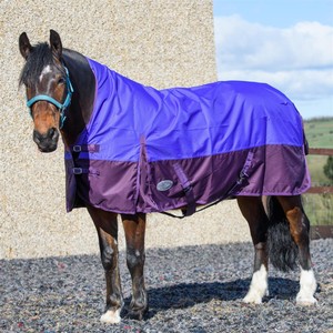 Half Neck Turnout Rug for sale | eBay
