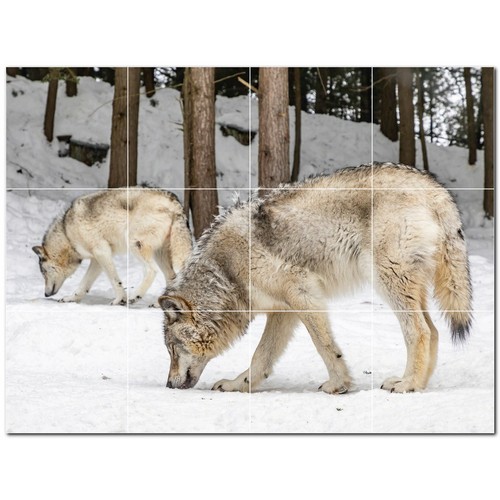 Wolf Ceramic Tile Wall Mural PT501229. 24" W x 18" H (12) 6x6 tiles | eBay