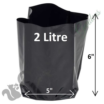 Polythene Plant Pots for sale | eBay