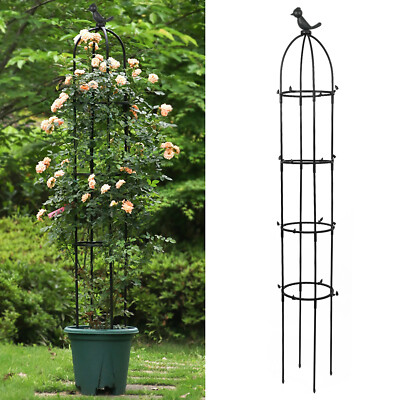 climbing rose support products for sale | eBay