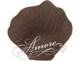 Mocha Roses for sale | eBay